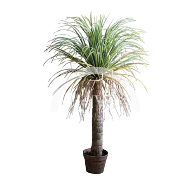 Indoor Artificial Plants Hong Kong | Agave Palm Tree – Cave Hong Kong